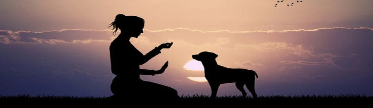 Dog Training E-Collar Systems | Handheld – BARKAHOLICS®