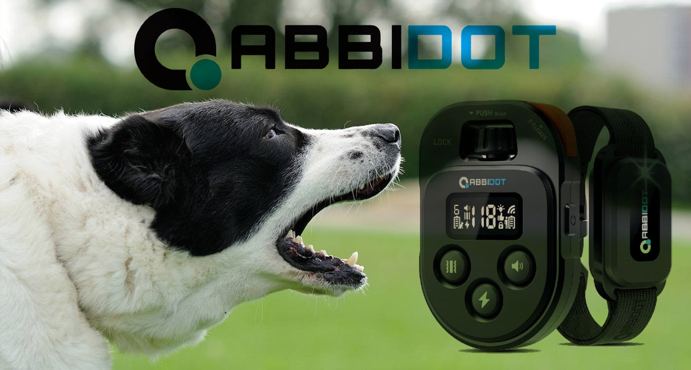 Shock Collars, E-Collars, Bark Collars | BARKAHOLICS® AUSTRALIA