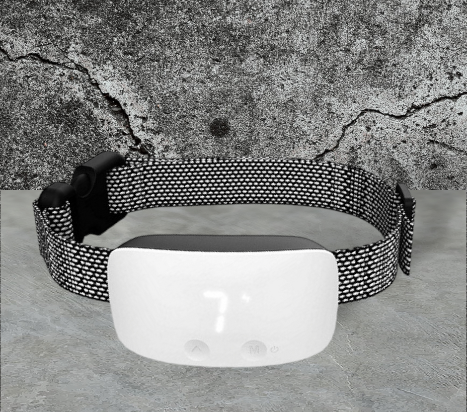 Dog Collars that Shock | PETRAINER® Official – BARKAHOLICS®